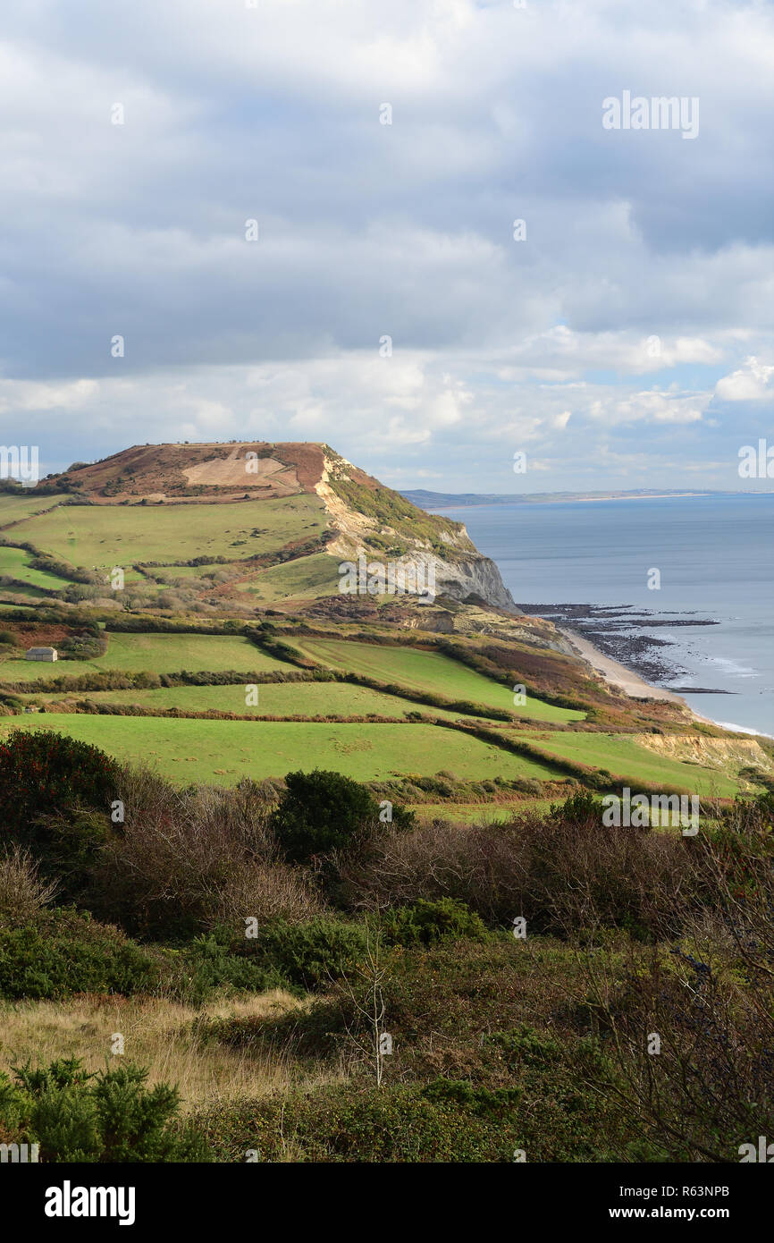 Scenic view of Golden cap mountain in Dorset Stock Photo - Alamy