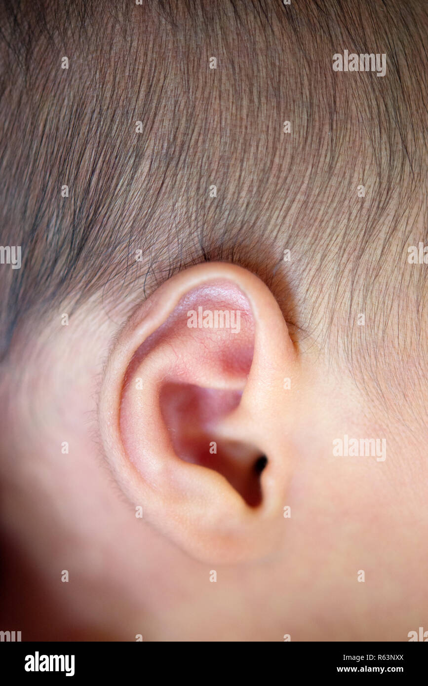 Asian human ear close up hi-res stock photography and images - Alamy