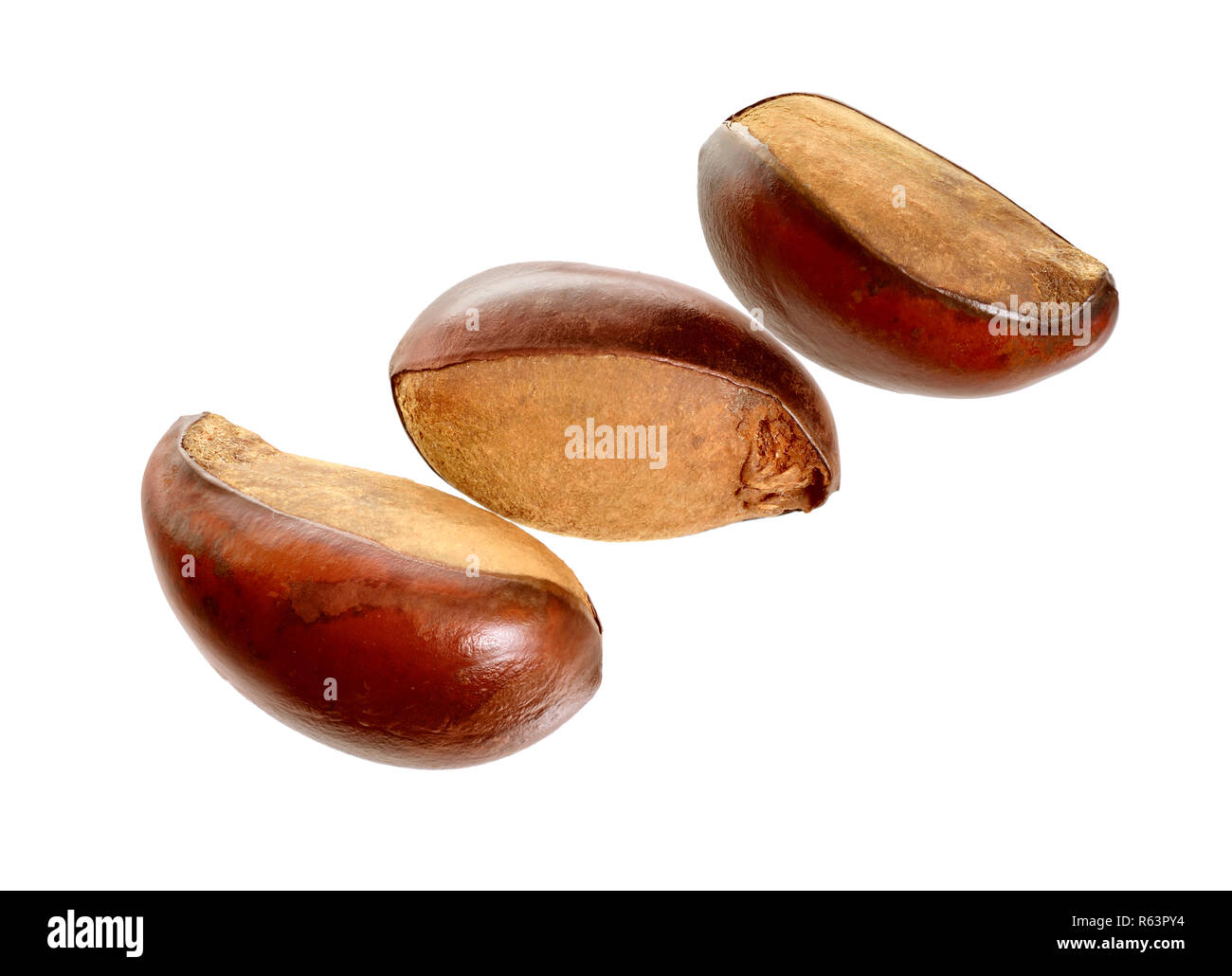 Three nuts Vitellaria paradoxa , commonly known as shea tree or shi ...