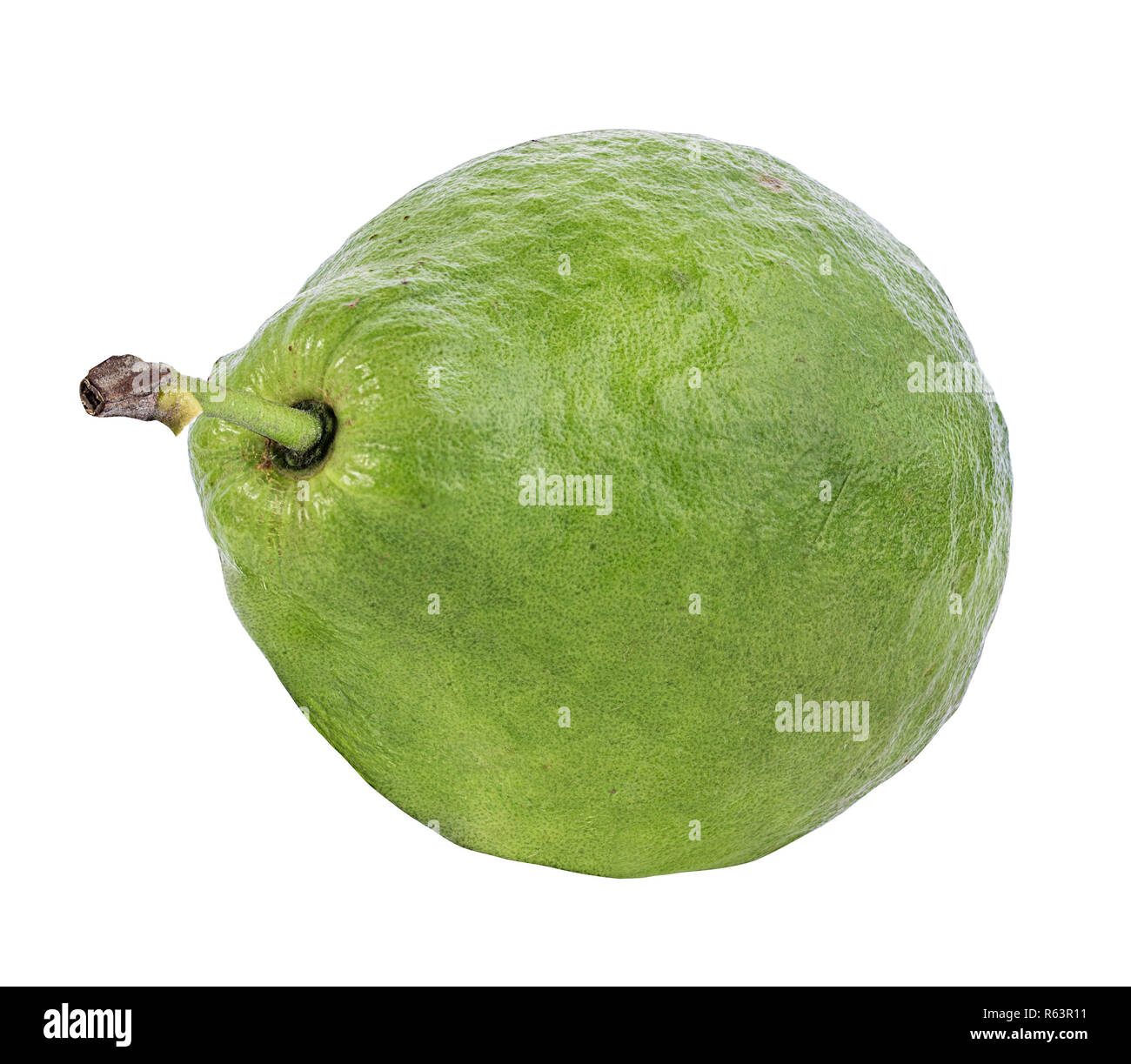 Guava isolated on white background Stock Photo - Alamy