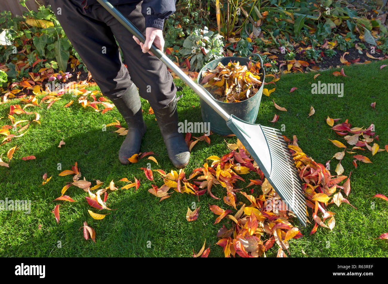 Sweeping autumn leaves hi-res stock photography and images - Alamy
