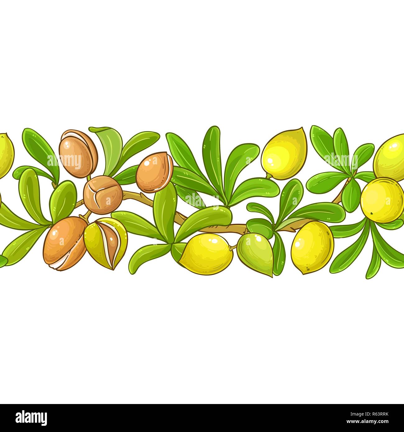 Argan oil vector vectors hi-res stock photography and images - Alamy