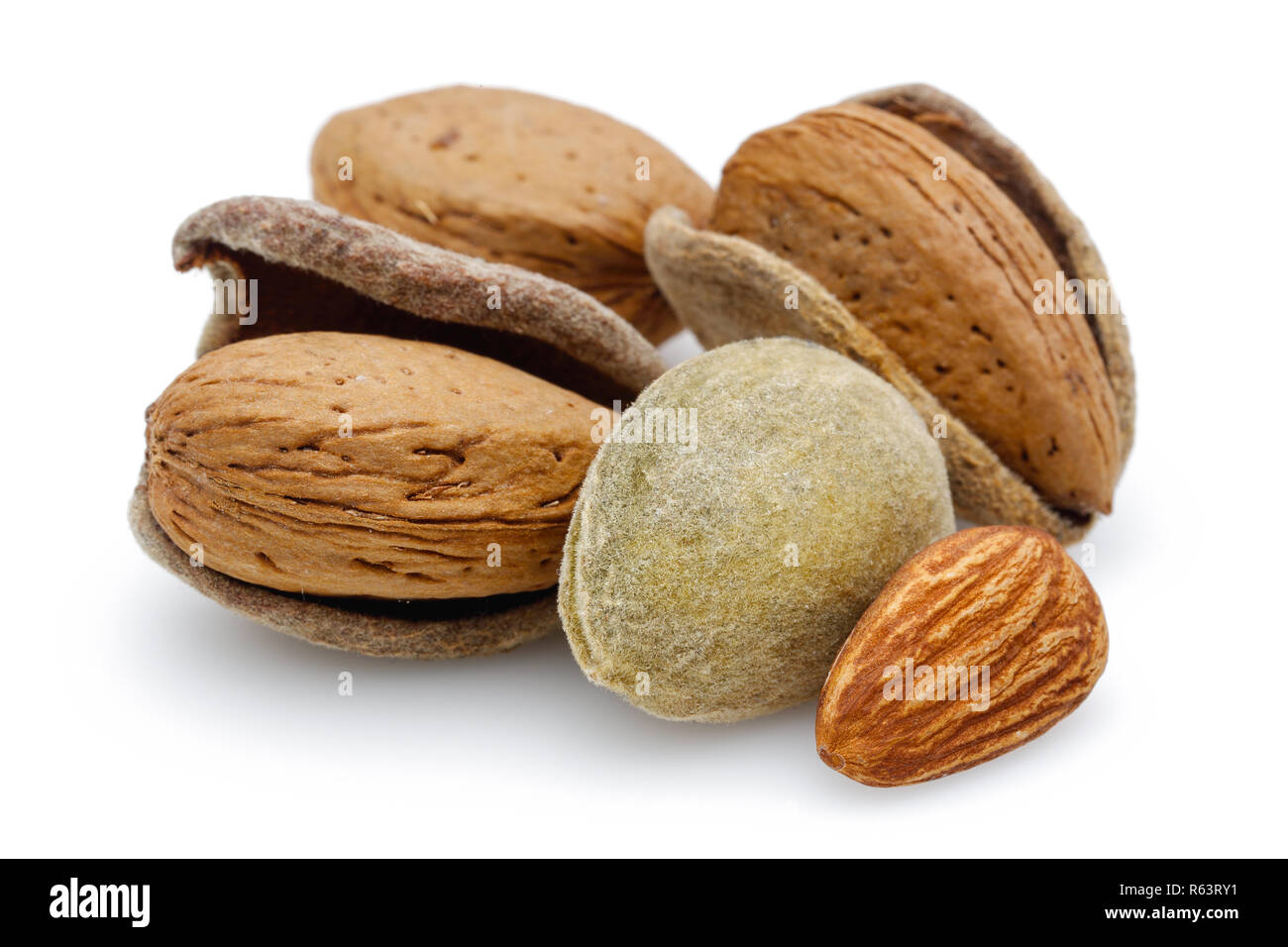 Strong plants Cut Out Stock Images & Pictures - Alamy