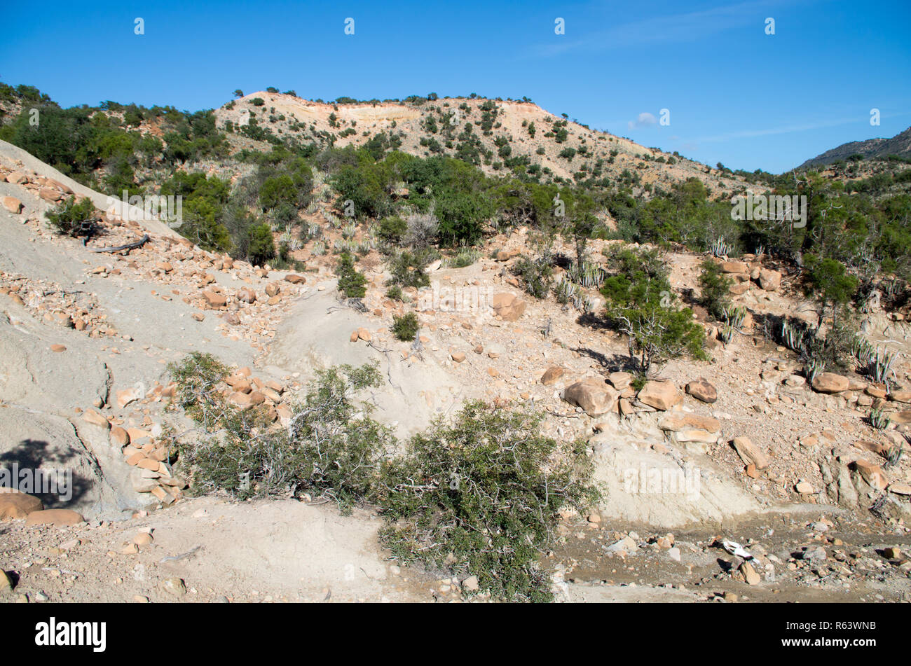 Moroccan hilly desert turns green after rare rain Stock Photo - Alamy