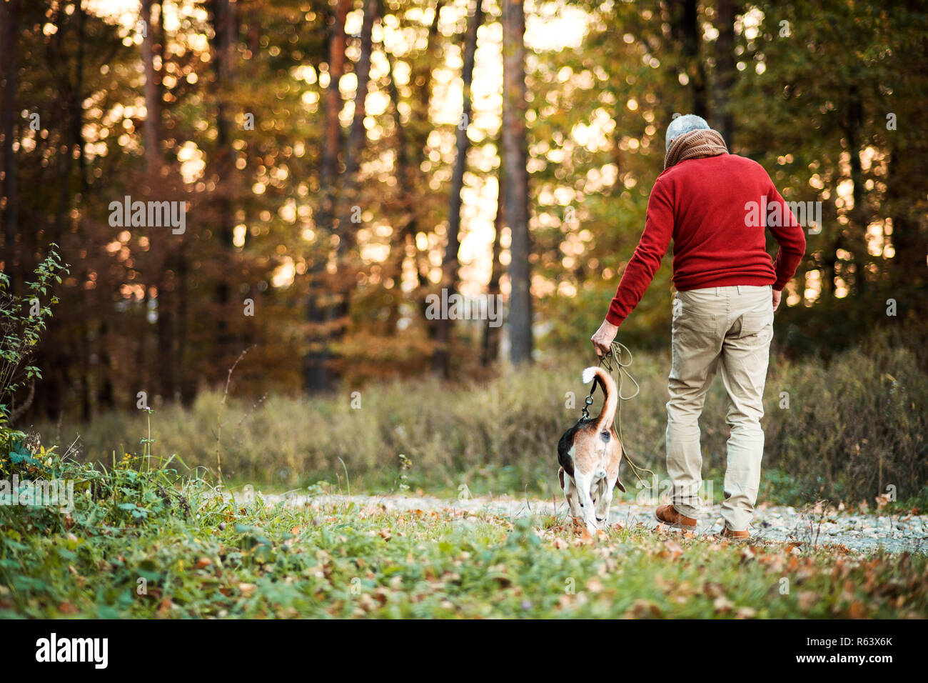 Old man walking dog hi-res stock photography and images - Alamy