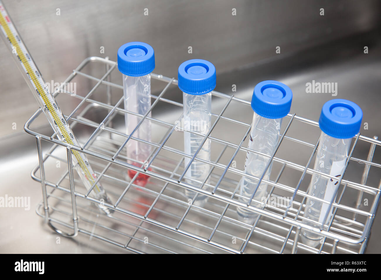 Falcon tubes and rack in a hot water bath at laboratory Stock Photo - Alamy