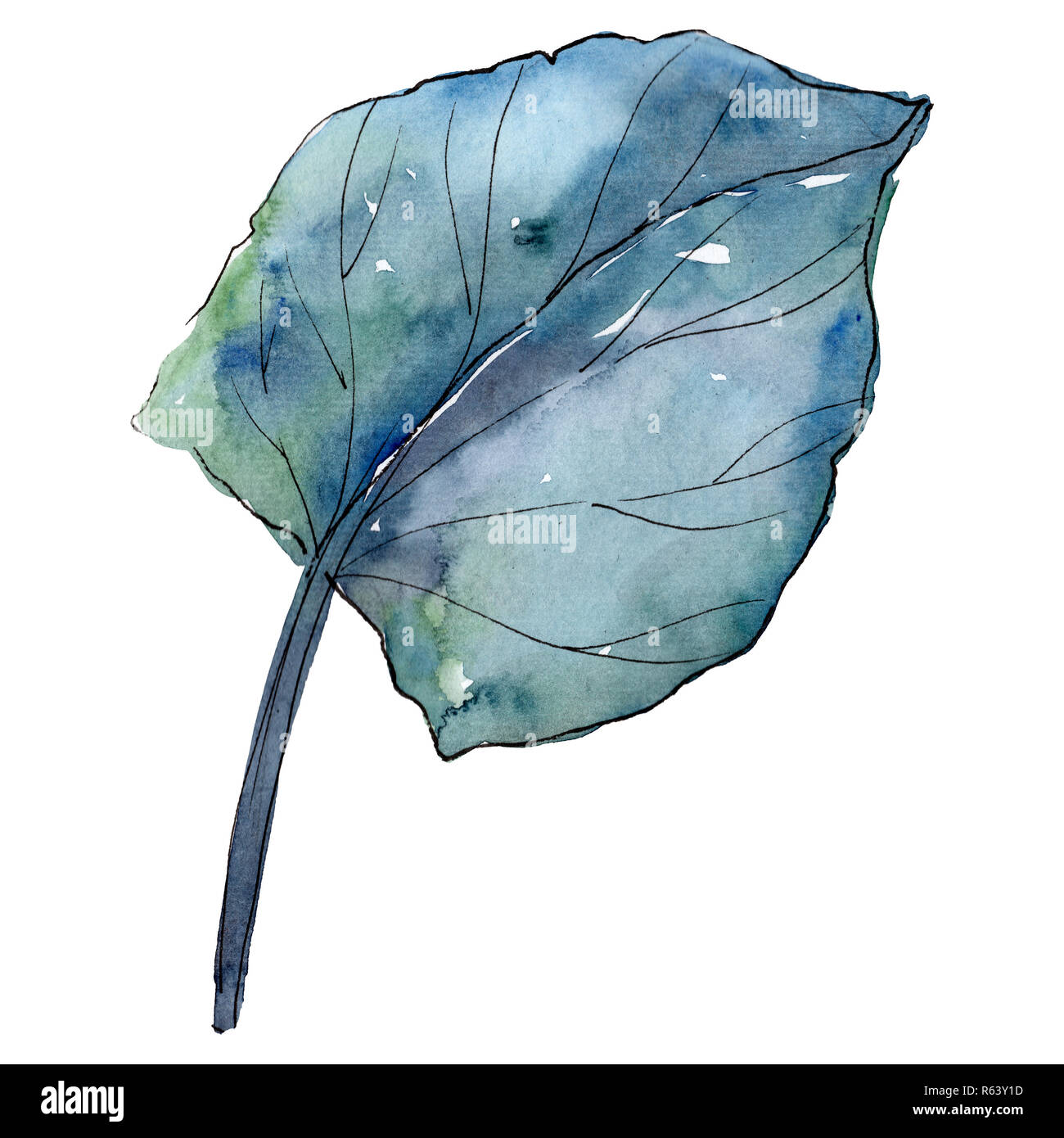 Green leaf. Watercolor background illustration set. Isolated leaf ...