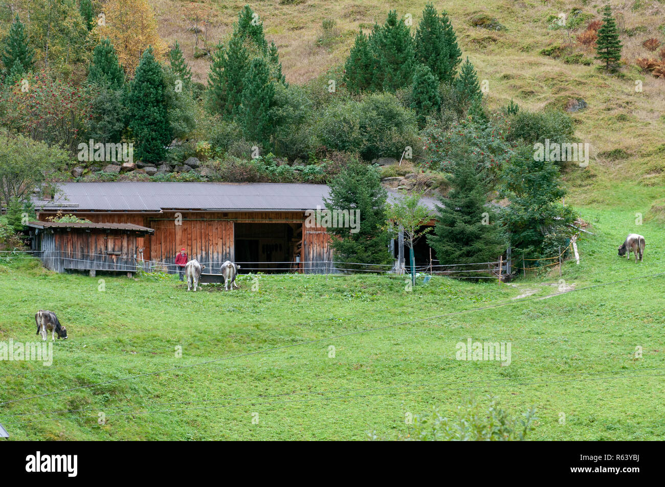 Wooden remote farmhouse in Stubai Alps, Tyrol, Austria Stock Photo - Alamy