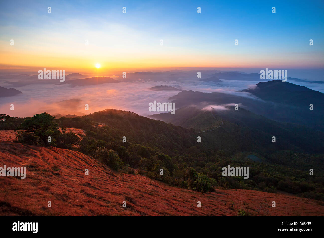 Doi co hong hi-res stock photography and images - Alamy