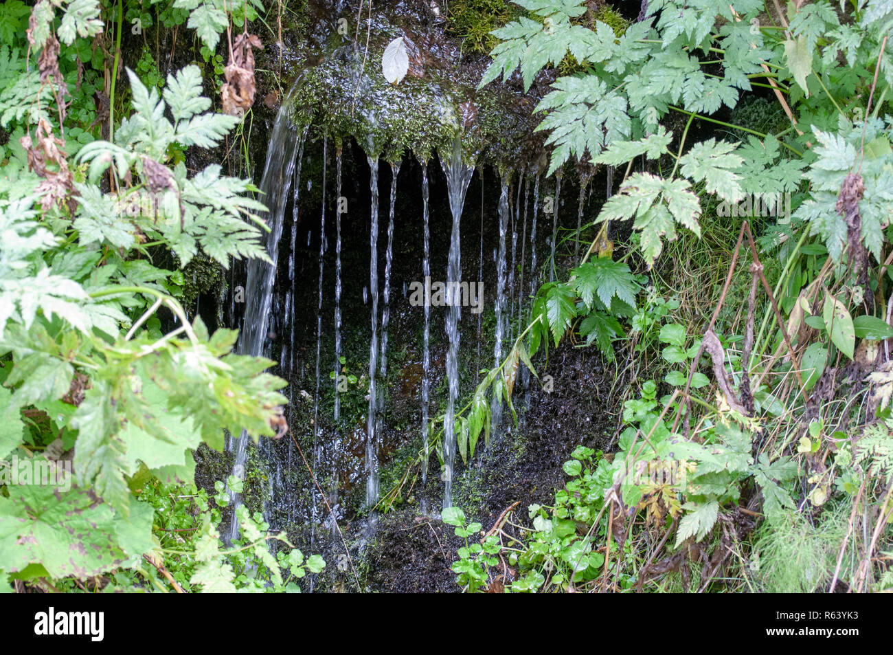 Bubbling Brook. close up of Water flowing in a small stream ...