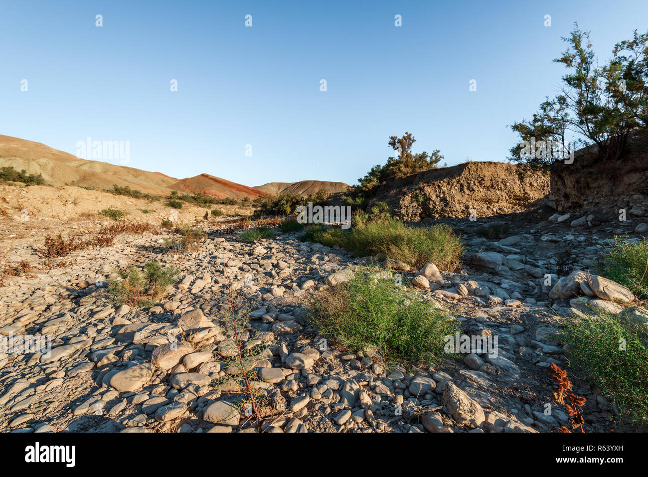 Climate drought africa disaster hi-res stock photography and images - Alamy