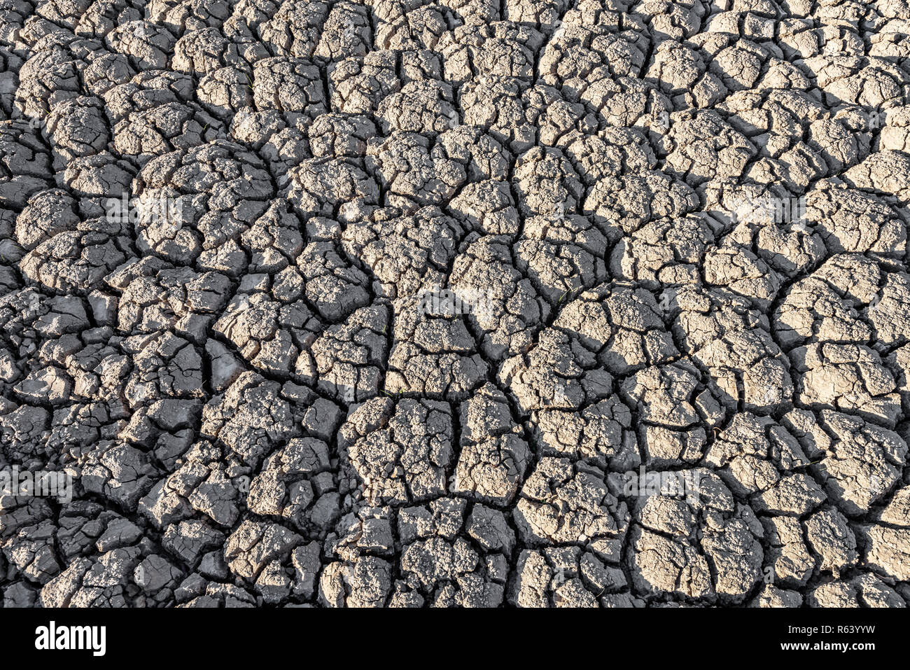 Dried riverbed of a mountain river, texture Stock Photo - Alamy