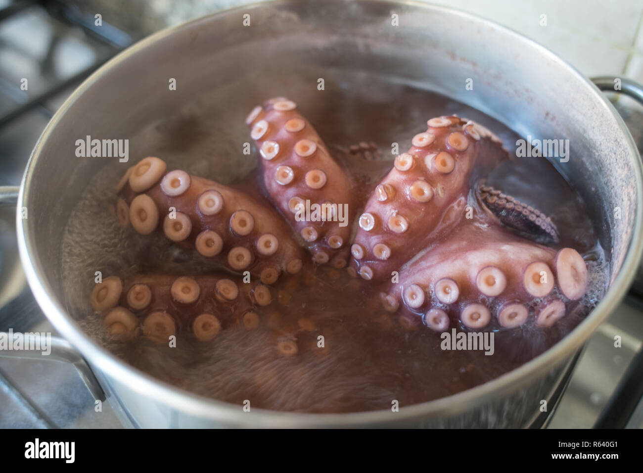 Fish cooked in boiling water hi-res stock photography and images - Alamy