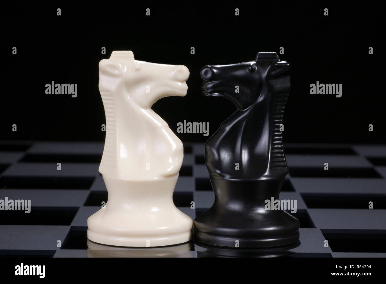 Chess Knights Face to Face Stock Photo - Alamy