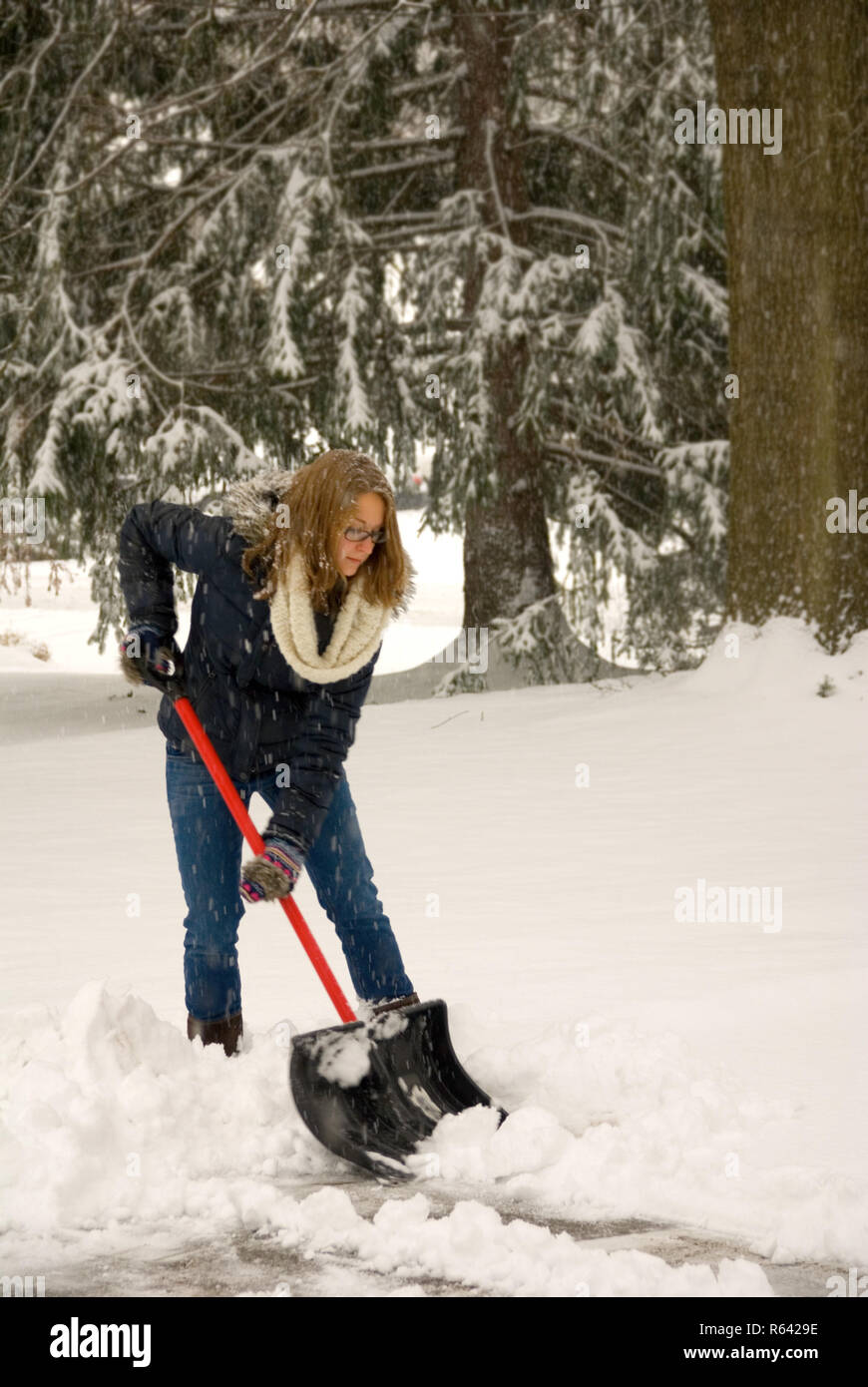Shoveling Snow Portrait Stock Photo - Alamy
