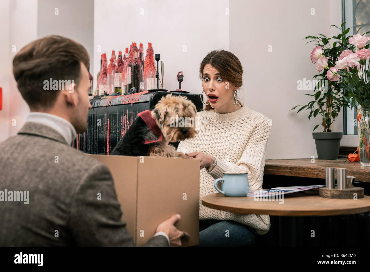 Woman receiving present dog hi-res stock photography and images - Alamy
