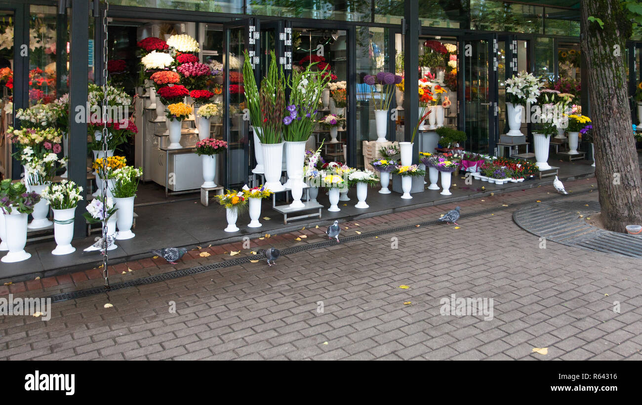 urban flower market in Riga city Stock Photo - Alamy