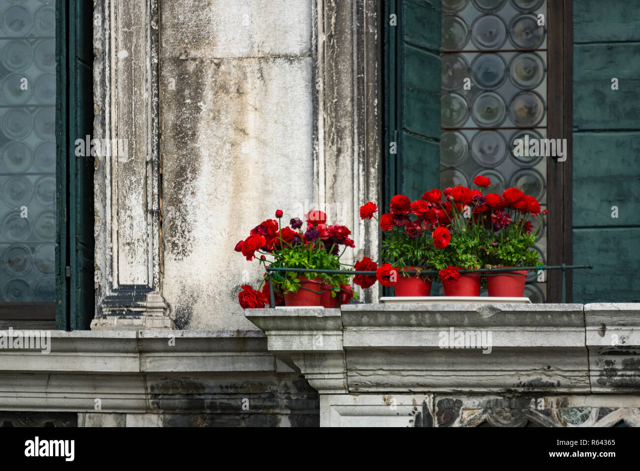 Red flowers on a vintage balcony in Venice Stock Photo - Alamy
