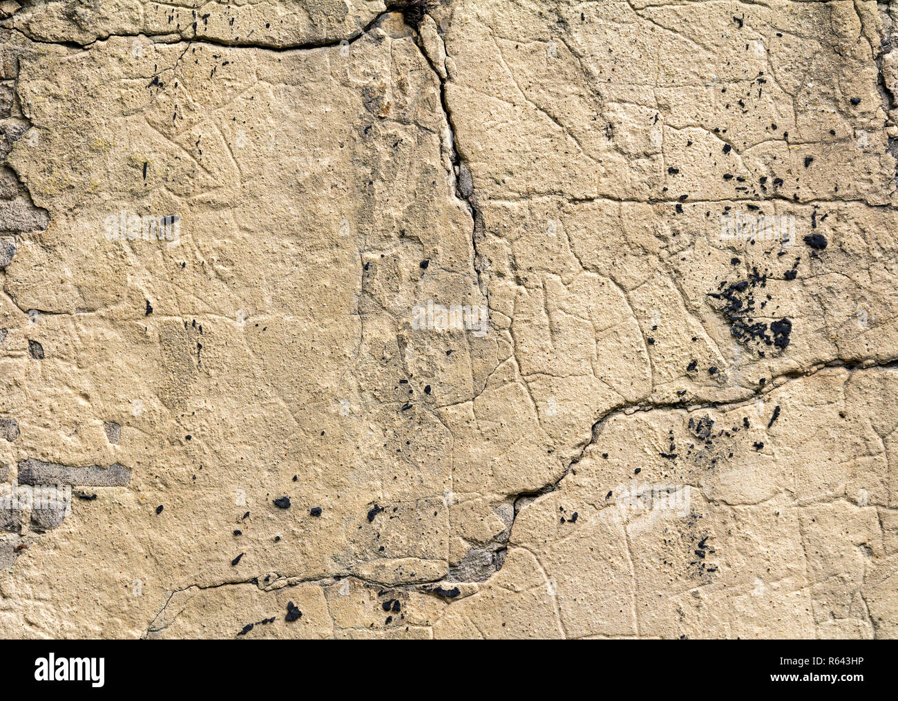 Clefty hi-res stock photography and images - Alamy