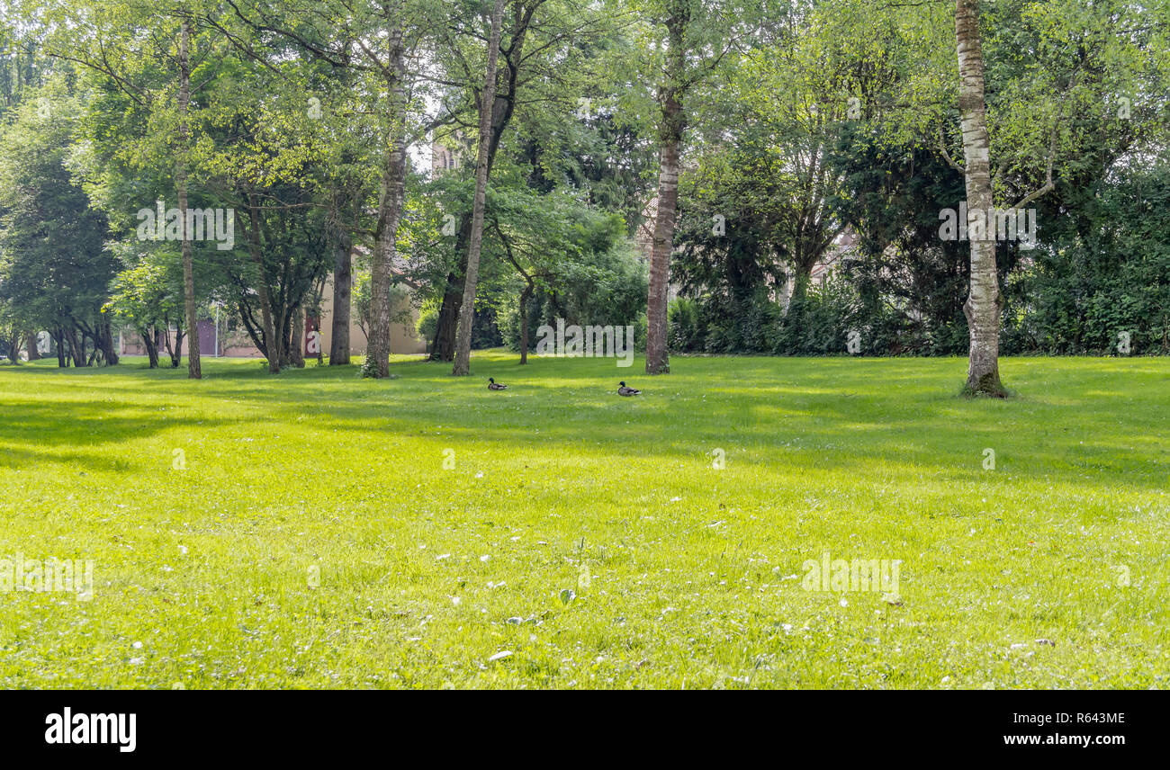 idyllic park scenery Stock Photo - Alamy