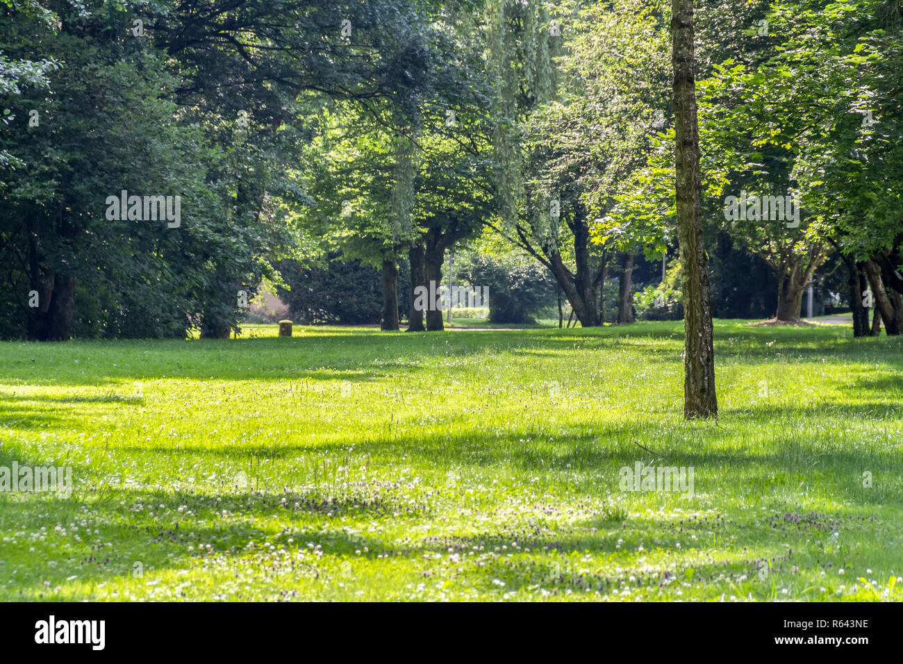 idyllic park scenery Stock Photo - Alamy