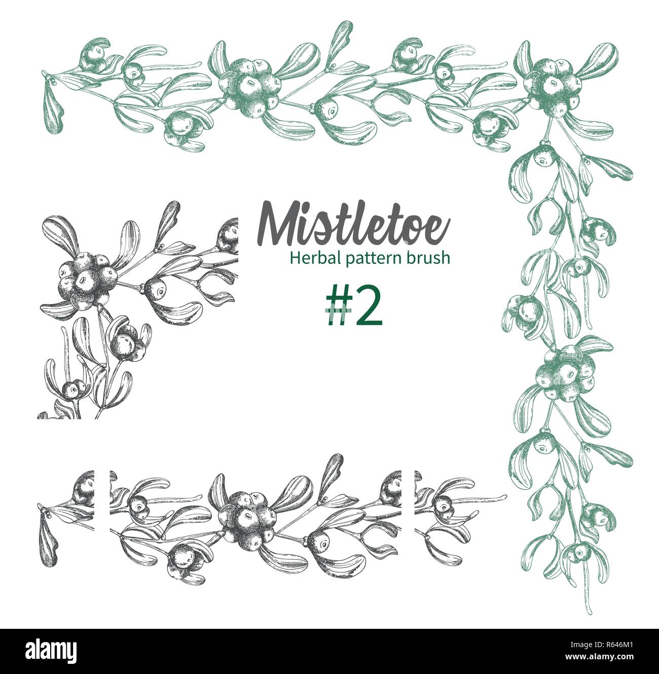 Mistletoe border Stock Vector Images - Alamy