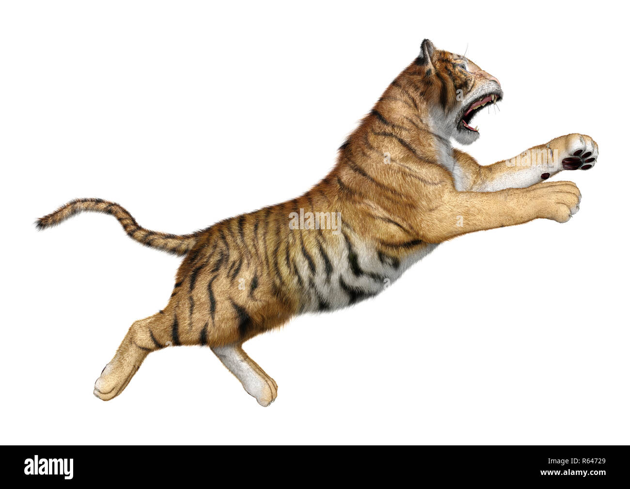 3D Rendering Big Cat Tiger on White Stock Photo - Alamy