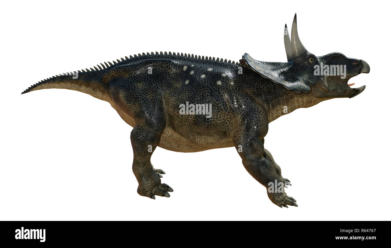 3D Rendering Dinosaur Diceratops on White Stock Photo - Alamy