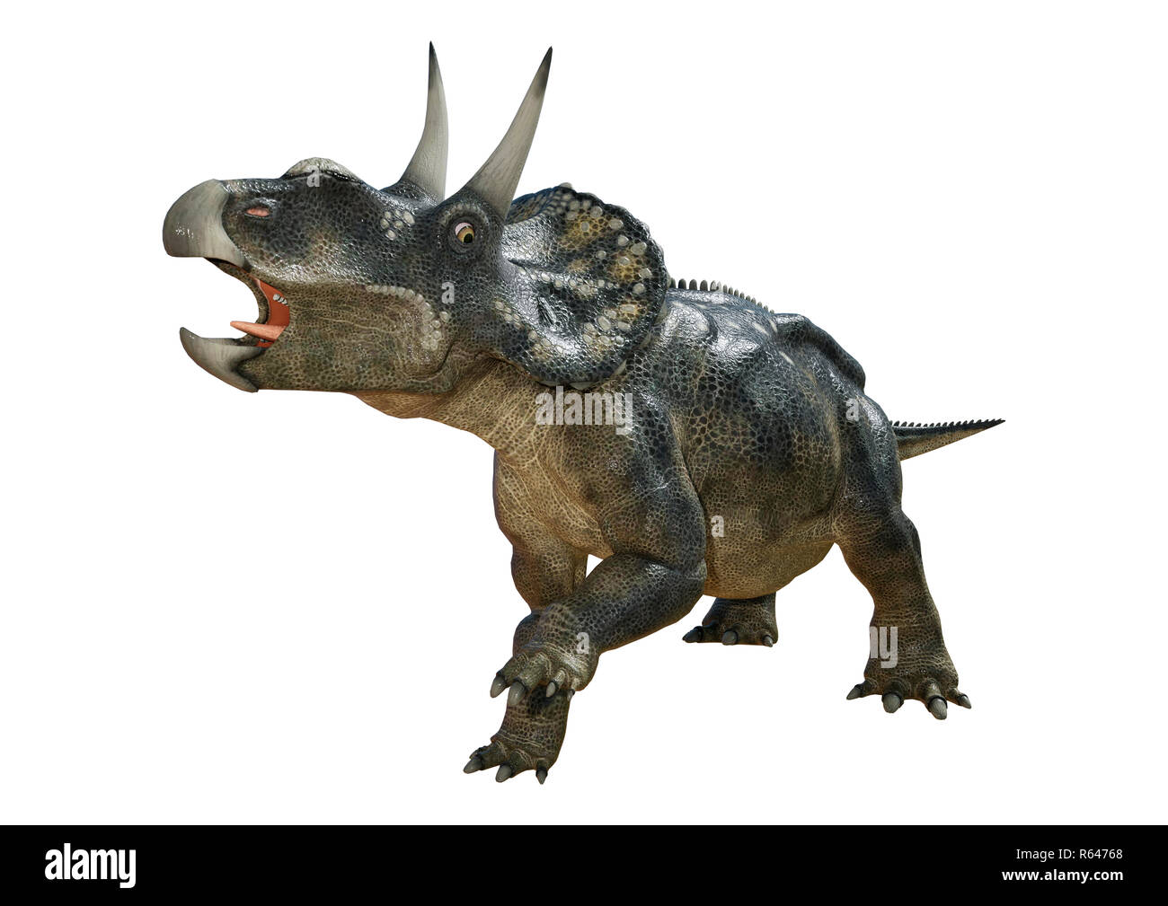 3D Rendering Dinosaur Diceratops on White Stock Photo - Alamy