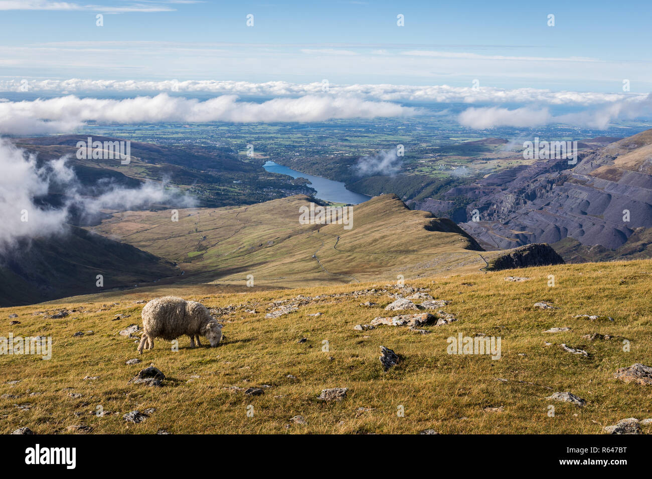 Snowdon panorama hi-res stock photography and images - Alamy