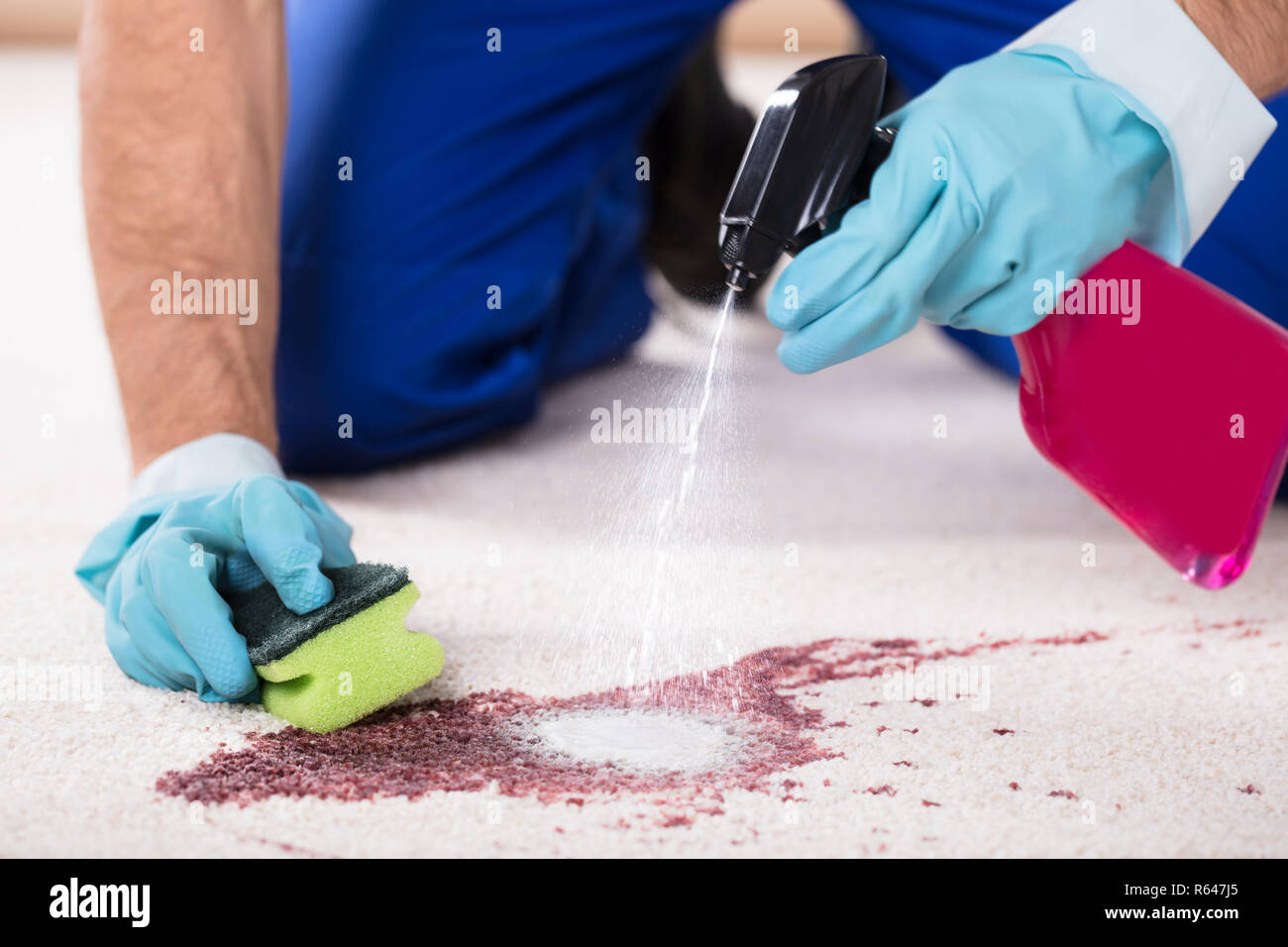 Human Hand Cleaning Stain On Carpet Stock Photo - Alamy