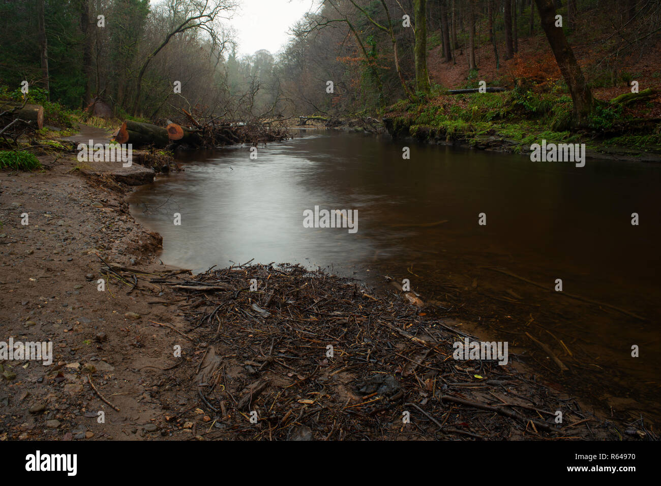 Linn park hi-res stock photography and images - Alamy