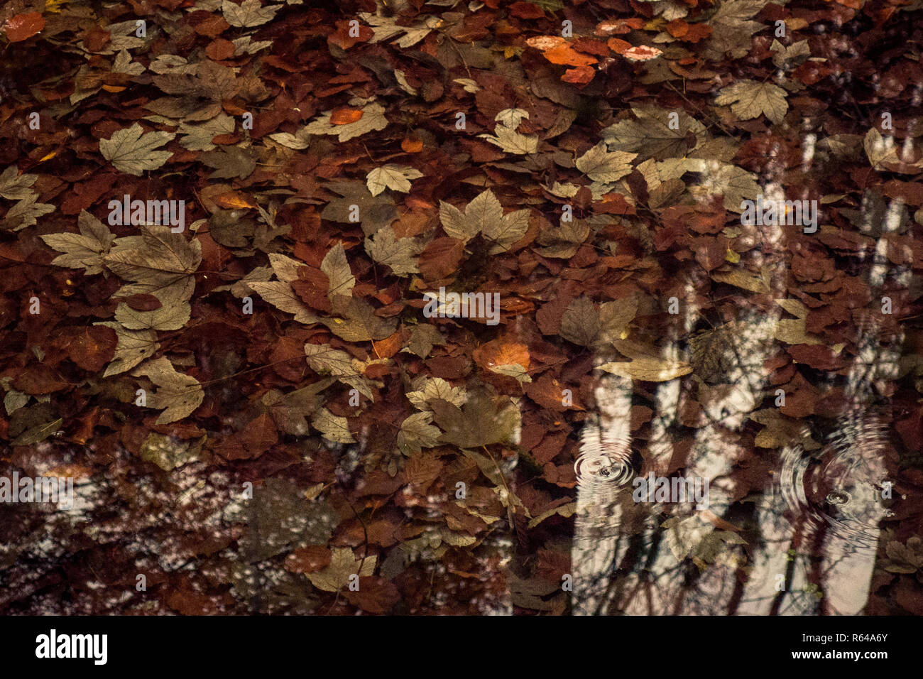 Colorful water texture reflex hi-res stock photography and images - Alamy