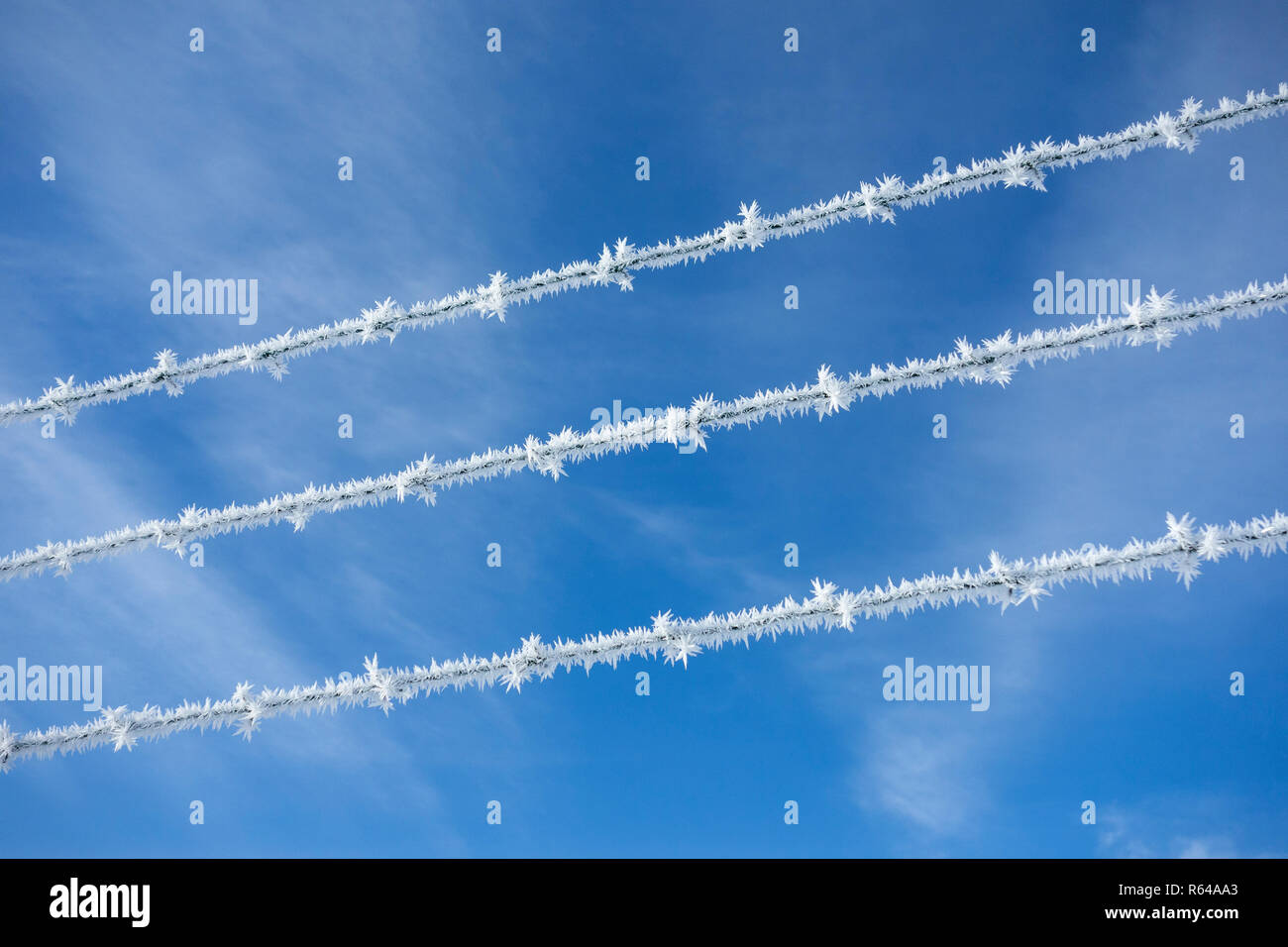 Spiky wire hi-res stock photography and images - Alamy