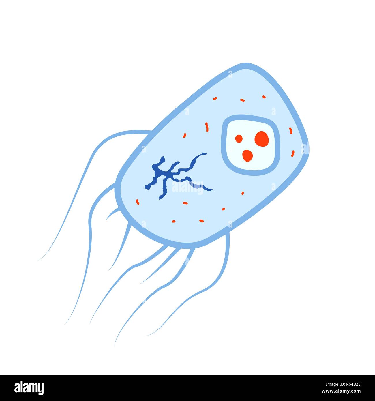 Bright cartoon colorful bacteria cell, icon on white Stock Vector Image ...