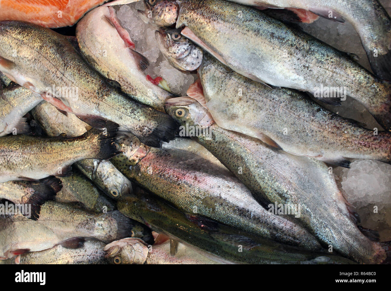 Fish. fresh fish background texture. Fillet and chop fish, fish scales ...