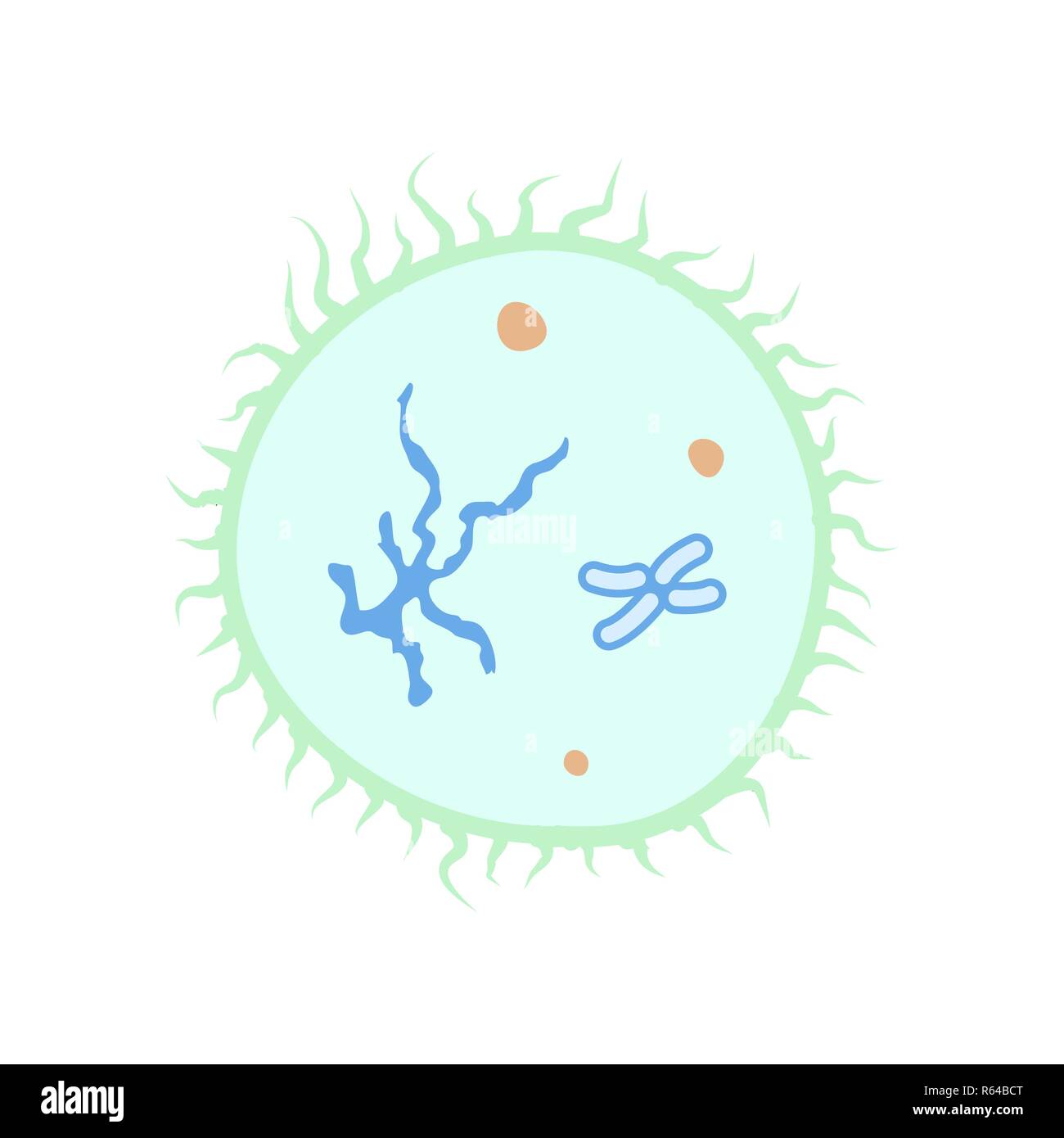 Live cell microscopy Stock Vector Images - Alamy
