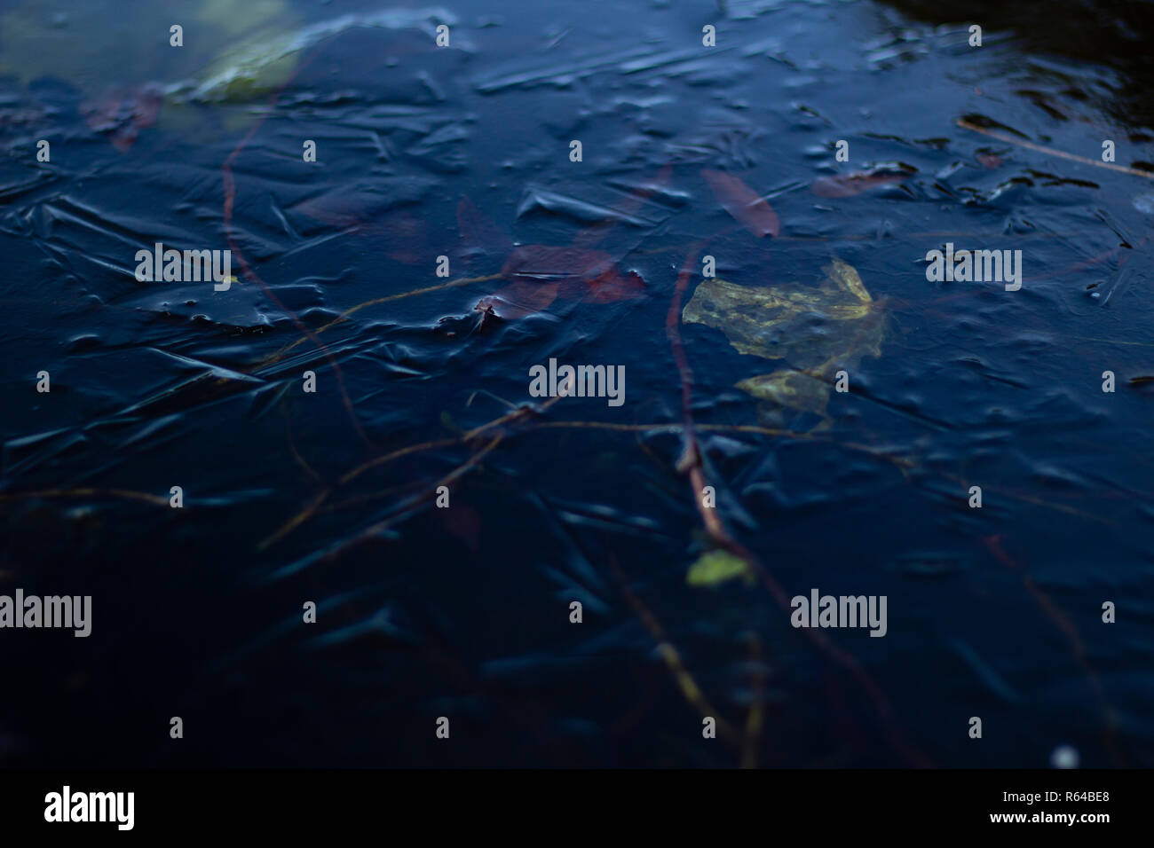 Lily pad ice hi-res stock photography and images - Alamy