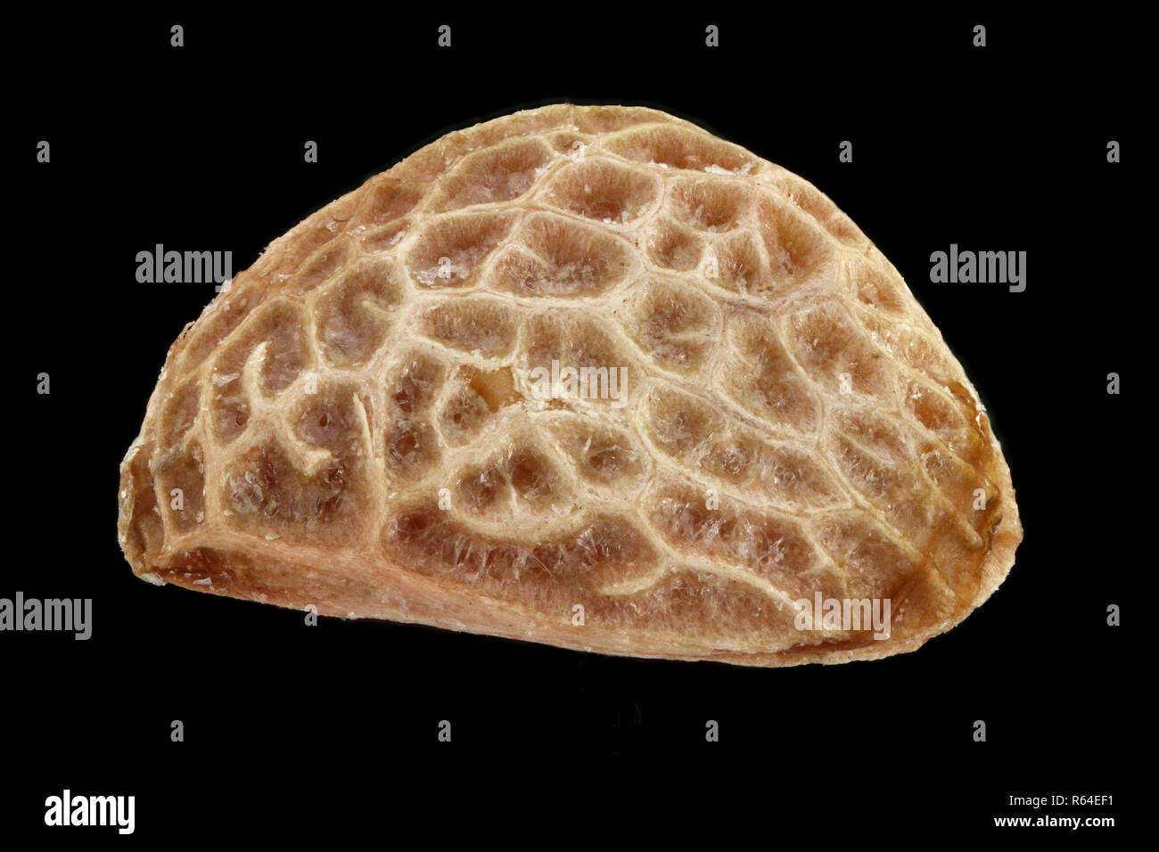 3 4 size hi-res stock photography and images - Alamy