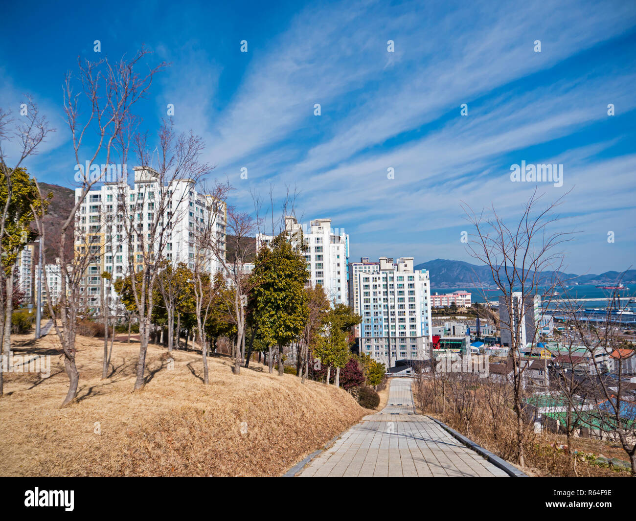 Tree yeosu hi-res stock photography and images - Alamy