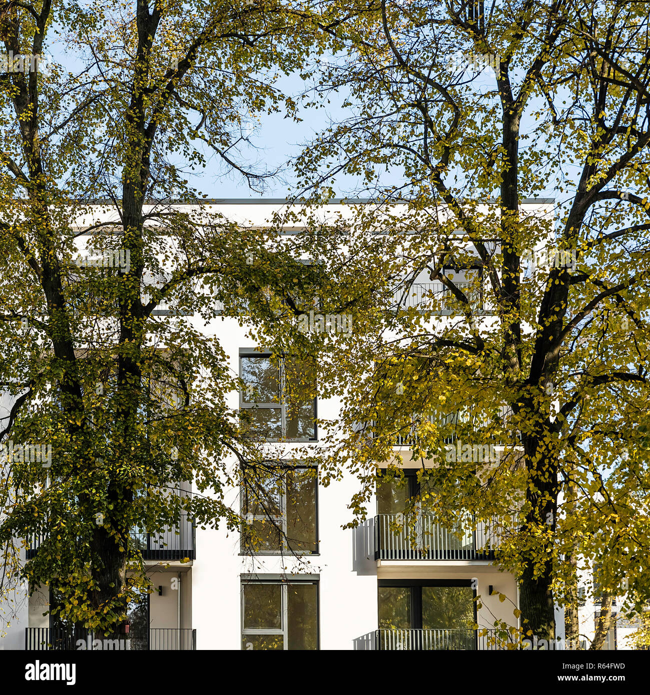 Baumschatten hi-res stock photography and images - Alamy