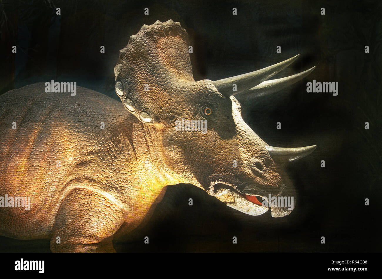 Ceratopsid hi-res stock photography and images - Alamy
