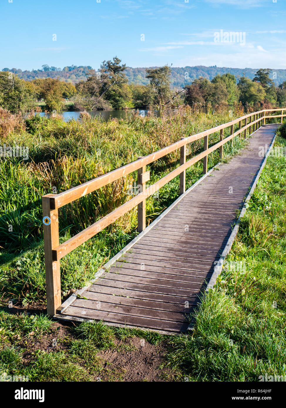 Thames Path, National Trail, nr Pangbourne, River Thames, Berkshire ...