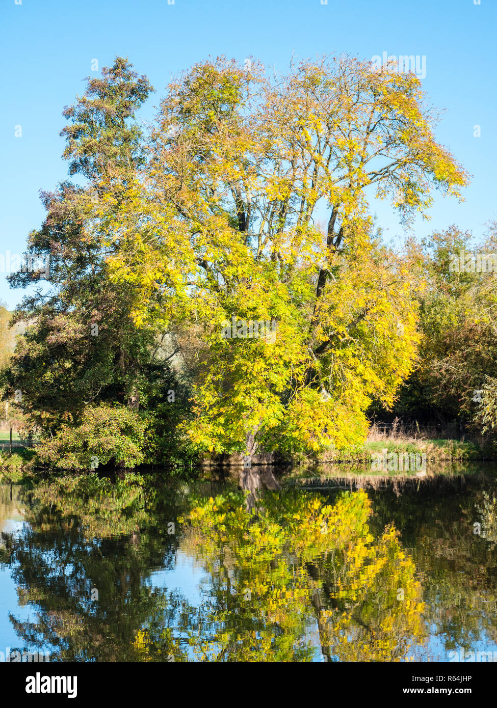 Pangbourne river thames hi-res stock photography and images - Alamy