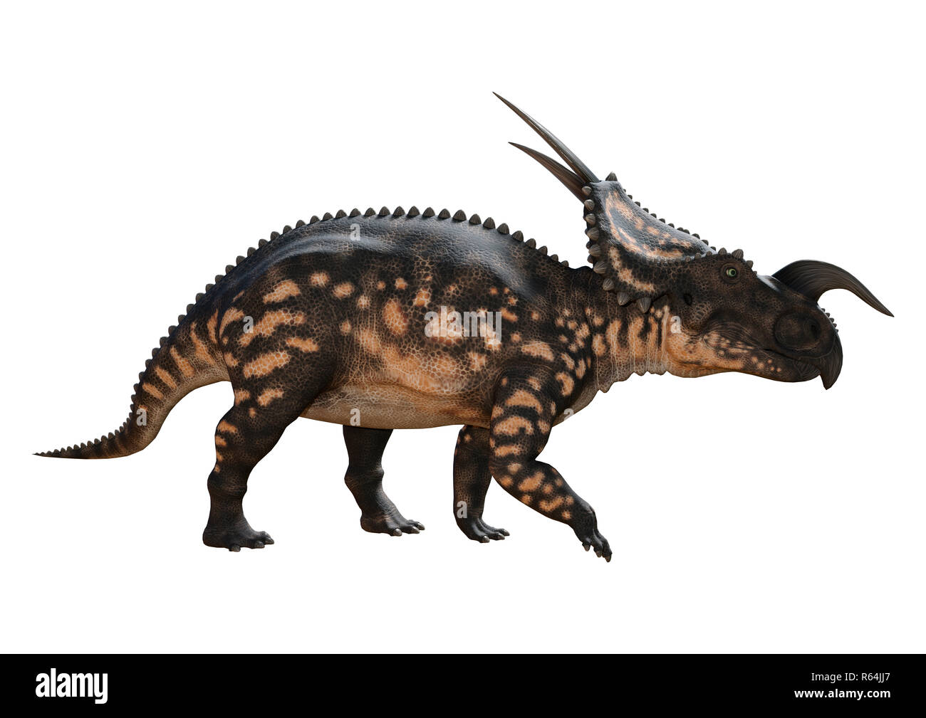 3D Rendering Dinosaur Einiosaurus on White Stock Photo - Alamy