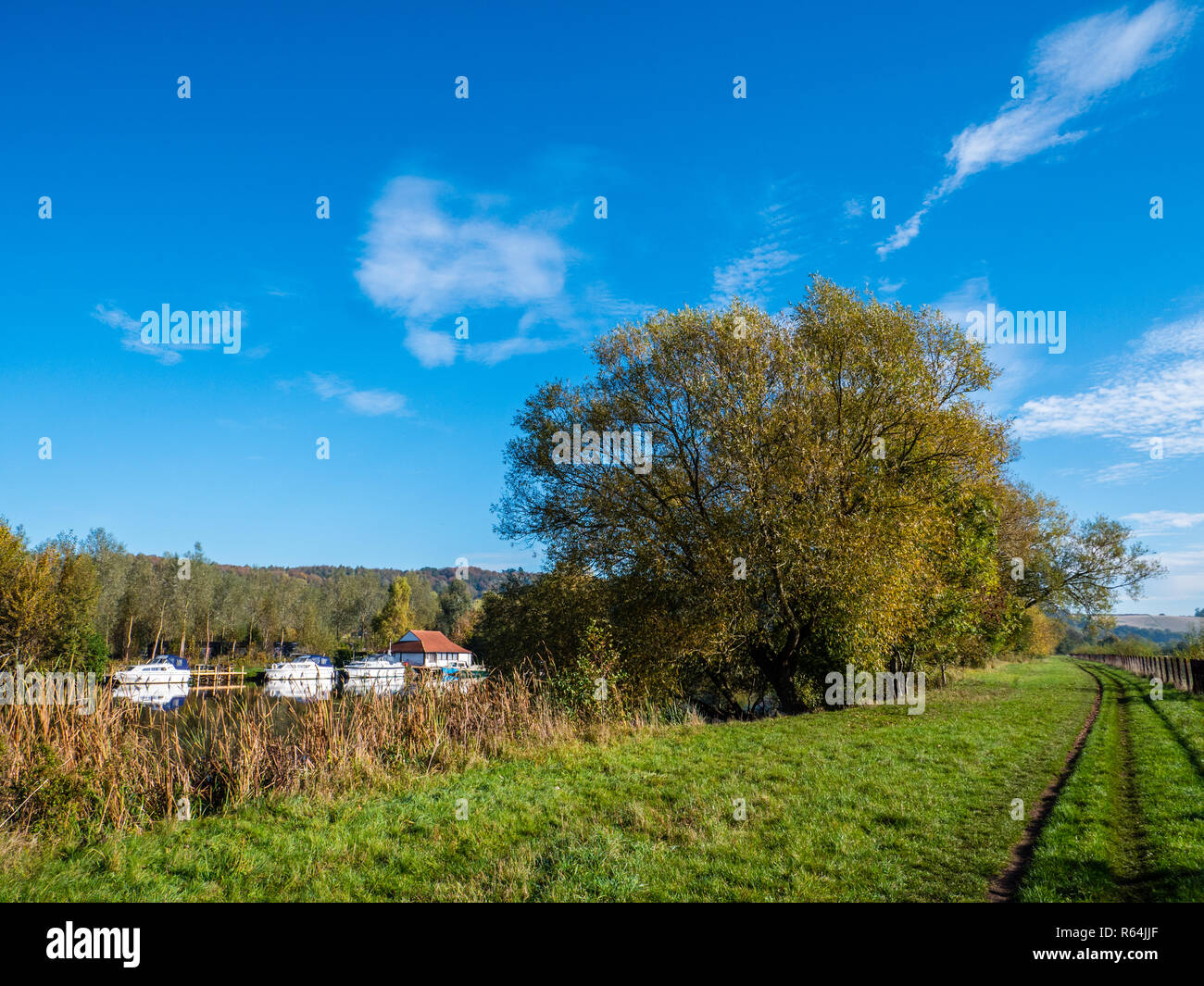 Thames Path, National Trail, nr Pangbourne, River Thames, Berkshire ...