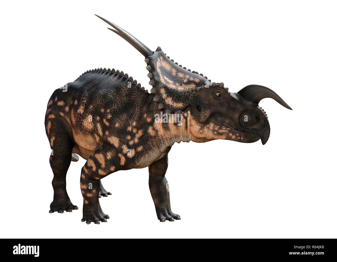 Einiosaurus dinosaur hi-res stock photography and images - Alamy