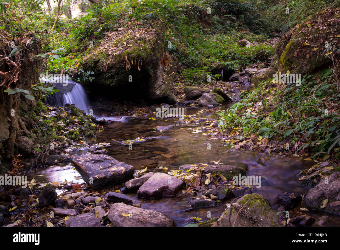 A small river deep in the Tropical forests Stock Photo - Alamy