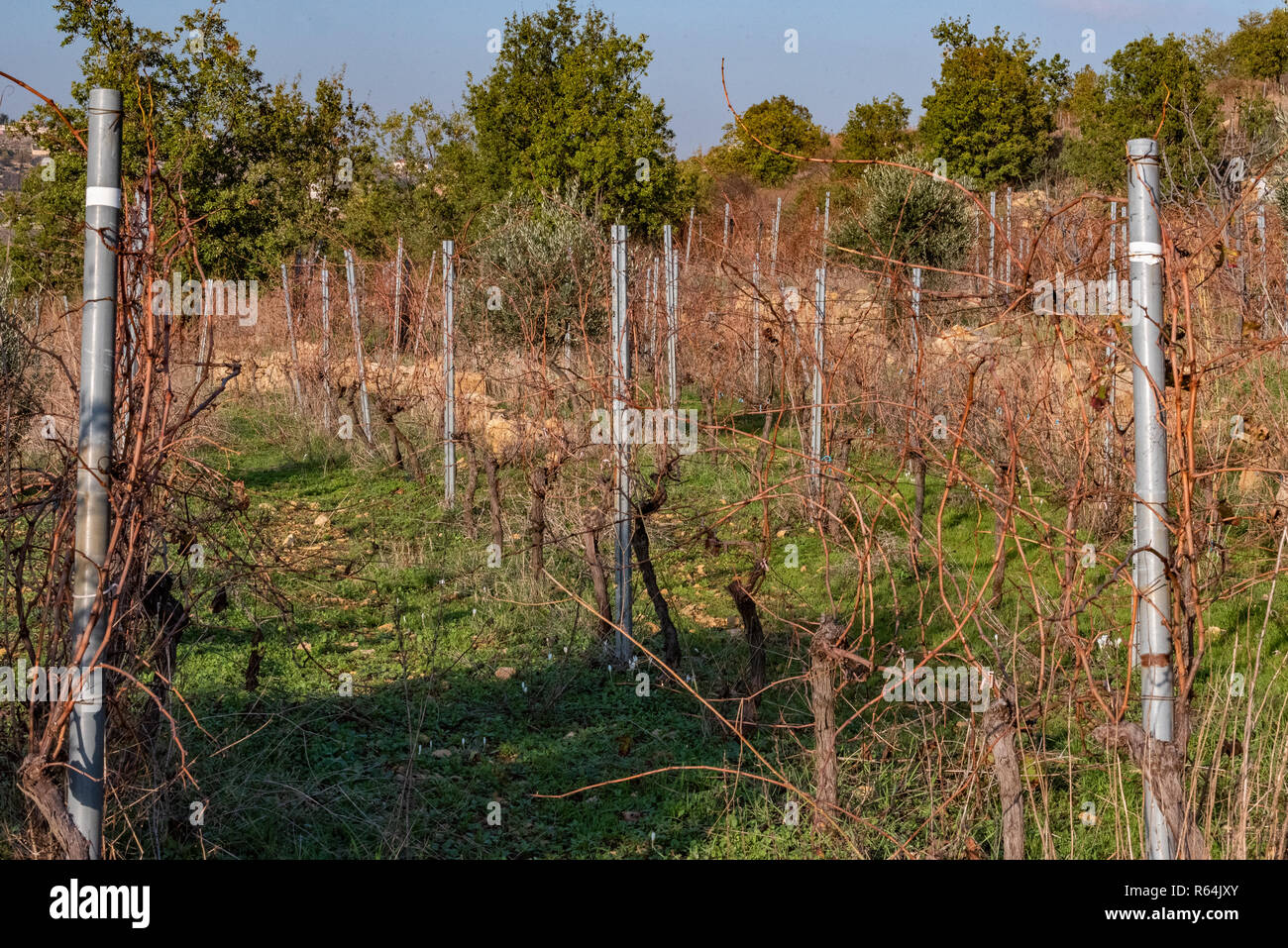Countryside lebanon hi-res stock photography and images - Alamy