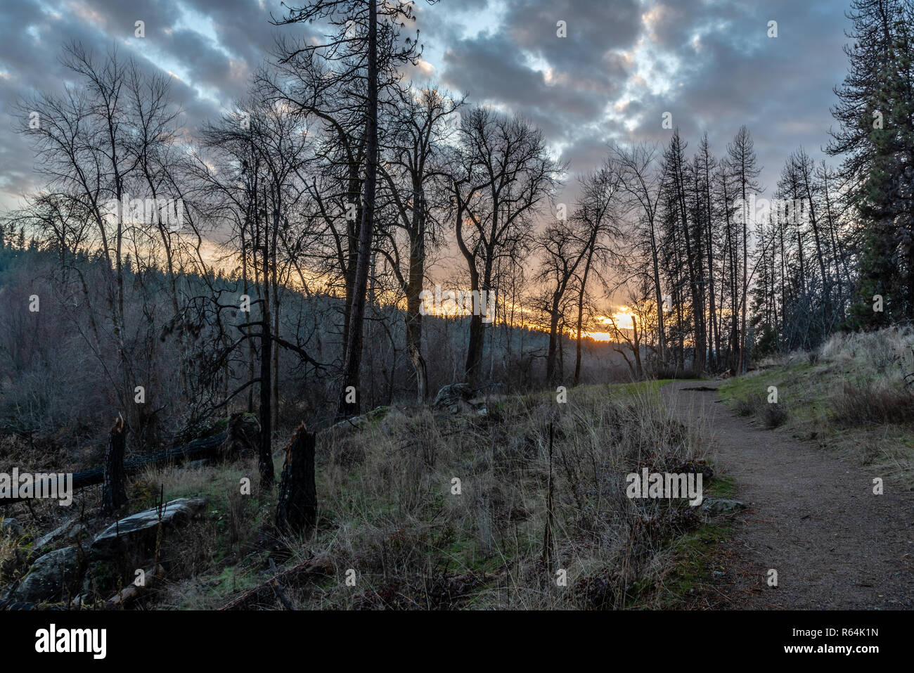 Beautiful sunset little clouds hi-res stock photography and images - Alamy